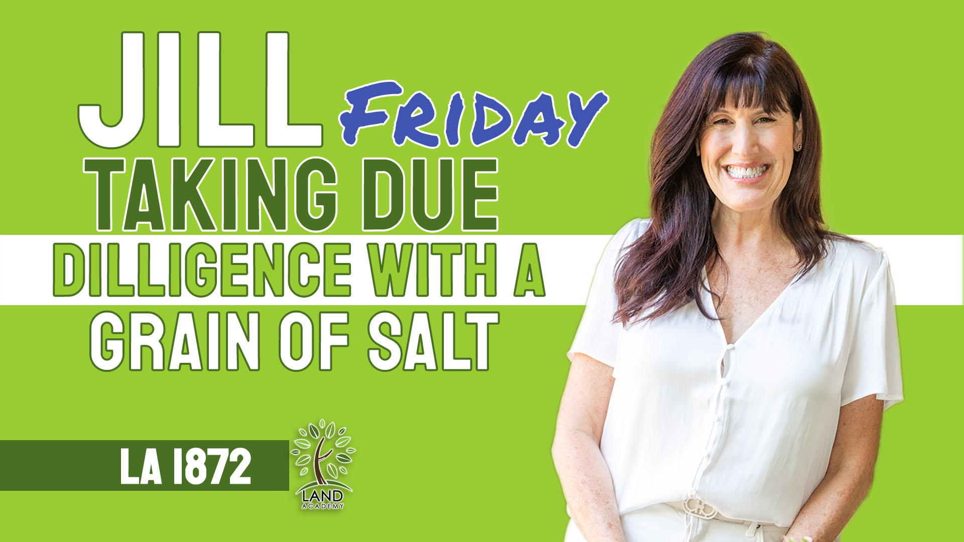 Jill Friday - Taking Due Diligence with a Grain of Salt (LA 1872)