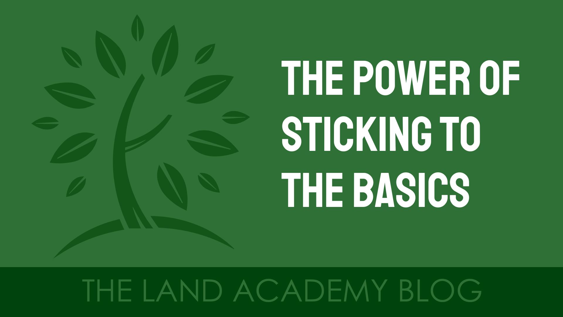 The Power of Sticking to the Basics - Land Academy